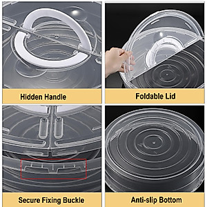 BTSKY Clear Plastic Pizza Container with Lid and Handle 12 Inch Round Pie Carrier with Lid Portable Pizza Keeper Reusable Food Storage Container for Cheese, Desserts, Holds up to 11 Inch Pizza