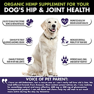 WIZARDPET Mobility Hemp Oil Hip & Joint Supplement for Senior Dogs - Chondroitin Glucosamine MSM Turmeric Green Lipped Mussel - Extra Strength Formula for Arthritis Pain Relief & Mobility | 90 Chews