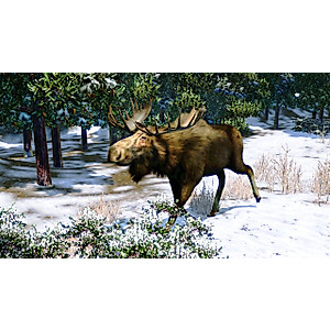 Cabela's North American Adventures 2011 - Sony PSP