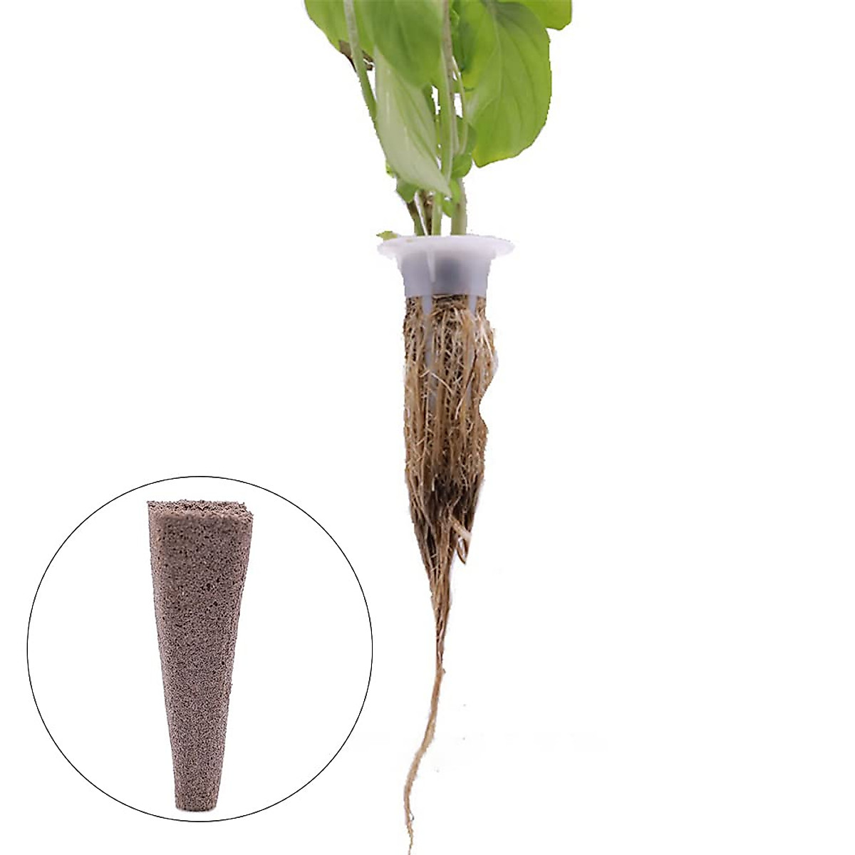 50 Pack Grow Sponges, Plant Seeding Starters Sponges Hydroponics Supplies, Plant Growing Plugs Sponges Seeding Pods for Planting, Hydroponics Pods for Hydroponic Indoor Garden(Brown)