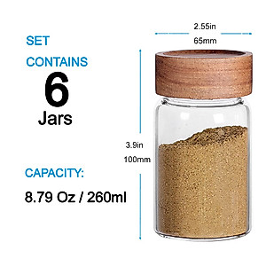 SAIOOL 6 Pcs Small Glass Spice Jars with Label,High Sealing Threaded Mouth,with Black Printed Spice Labels - 8.79oz /260ml*6 ,Empty Cylinder Spices Bottles ,Storage Jars with Airtight Screw Lids