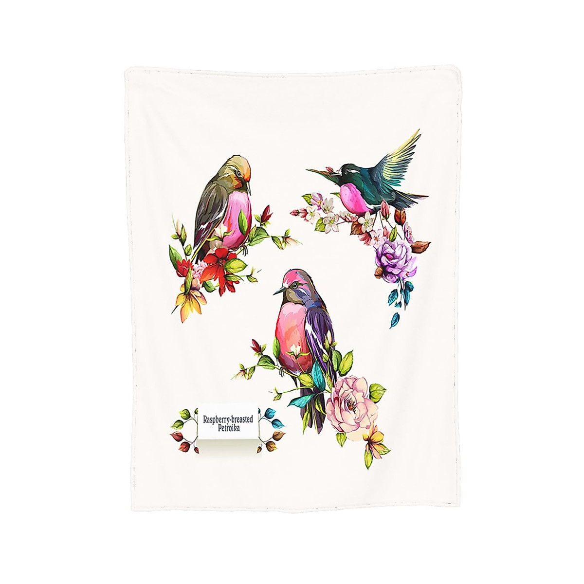 Throw Blanket 30x40 Inch,Bird On Raspberry Branch Leaf Flannel Soft Cozy Fluffy Throw Blankets and Warm Throws for Adults in Couch Sofa Bed 40x30 Inch