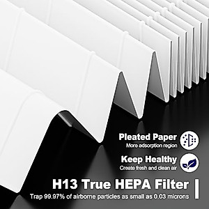3 Pack 115115 HEPA Replacement Filter A Size 21 Compatible with Winix PlasmaWave C535 5300 5300-2 5500 5500-2 6300 6300-2 P300 AM90 9000 5000 5000B C909 9800 Air Purifier by PETOX