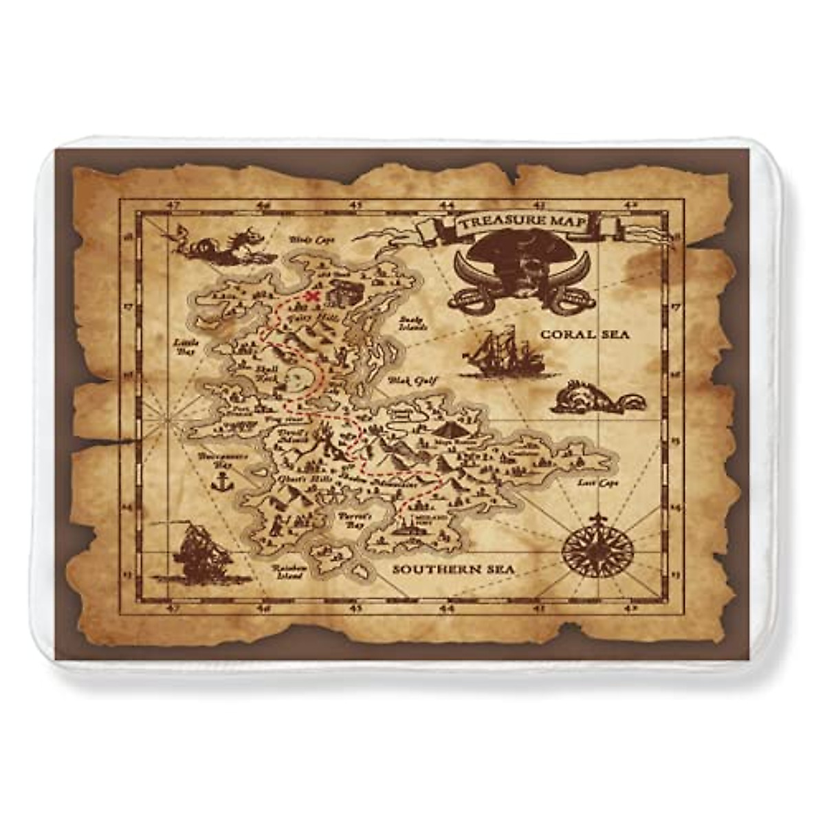 XYHH Area Rug Super Detailed Treasure Map Grungy Rustic Pirates Gold Secret Sea History Theme for Living Room Dining Bedroom playroom Parent-Child Game mat Study Office Decor LTH, White 2, 39x60in