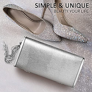 Women Silver Clutch Purse Small Box Sparkly Evening Bag in Hardcase with Metallic Tassel for Party Wedding with Gift Packing