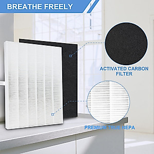 buyfun 115115 Size 21 Replacement Filter A H13(MERV 17) True HEPA Filter Compatible with Winix C535, PlasmaWave 5300, 5300-2, 6300, 6300-2, P300 Plasma wave, 1×HEPA filter+4×carbon filter