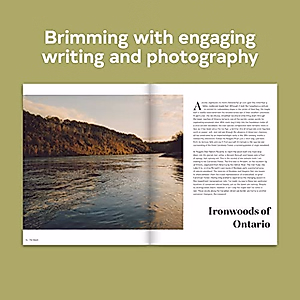 Forest: (Tree Photography Book, Nature and World Photo Book)