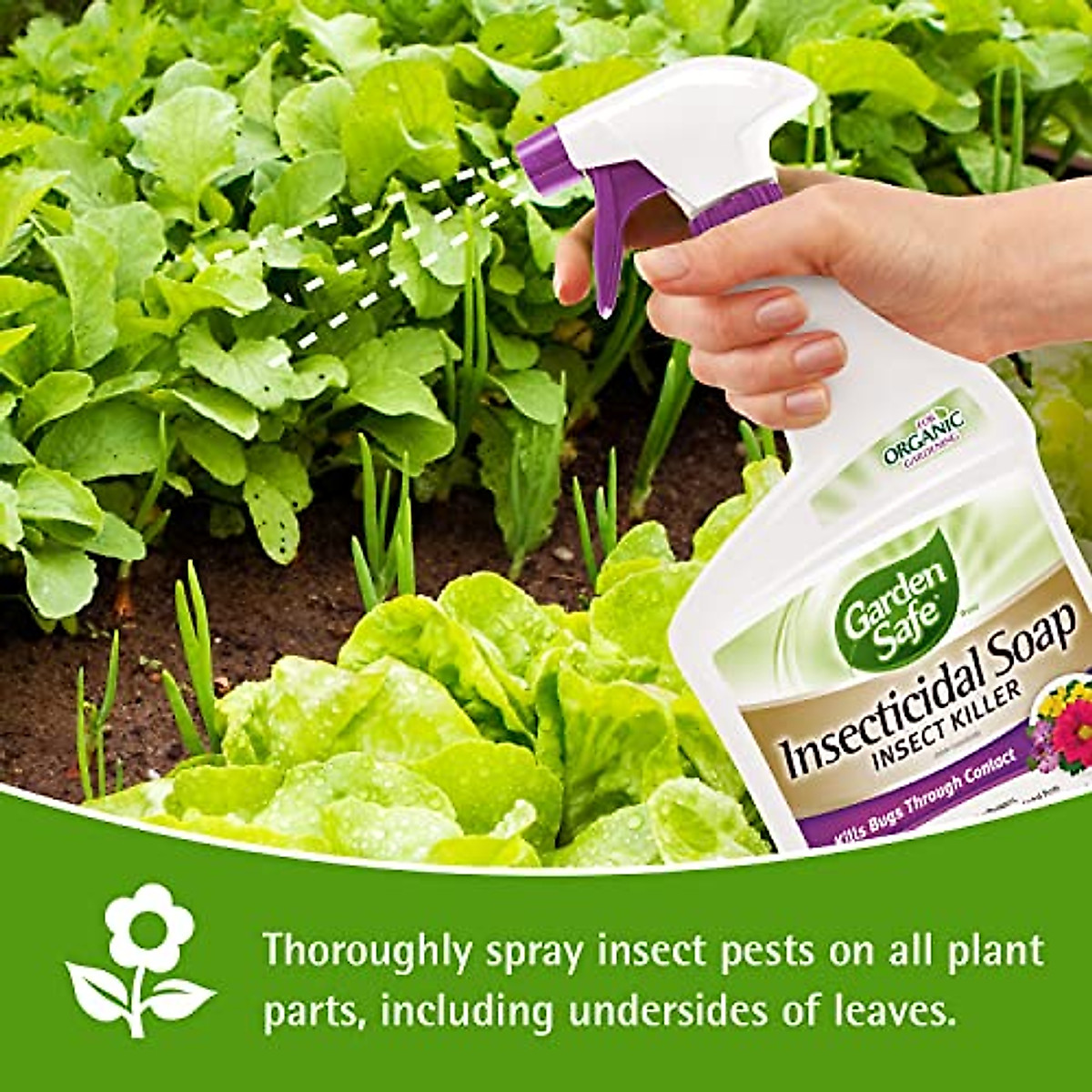 Garden Safe Brand Insecticidal Soap Insect Killer 24 Ounces, Ready-To-Use, For Organic Gardening, 2 Pack