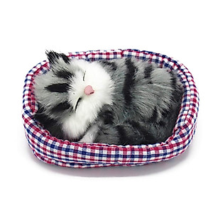 Coolayoung 2Pcs Sleeping Cat in Pet Pad Doll Toy, Mini Kitten in Pet Pad with Meows Sounds Decor for Office Desk Hand Toy Gift for Kids Boys Girls