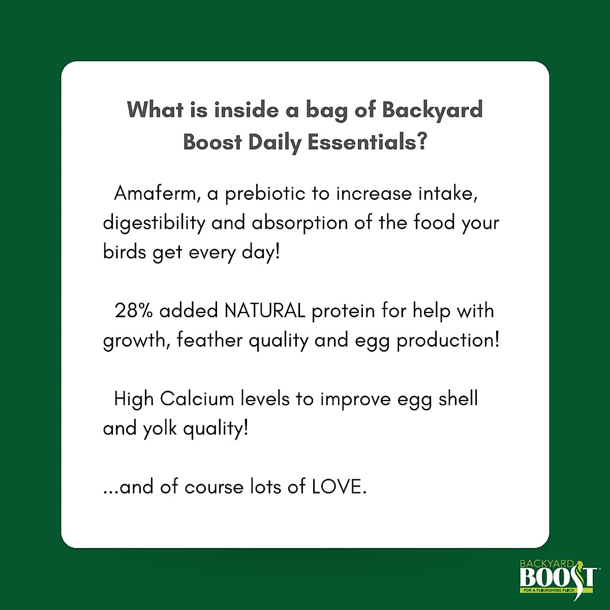Backyard Boost Daily Essentials Chicken Feed | Palleted High Protein Food for Laying Hens | 2.5 Pound Bag