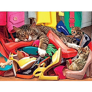 Buffalo Games - Steve Read - Steve Read - Closet Cats - 750 Piece Jigsaw Puzzle for Adults Challenging Puzzle Perfect for Game Nights - Finished Puzzle Size is 24.00 x 18.00