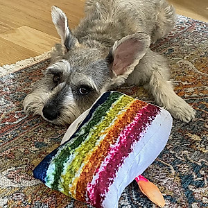 Doggijuana | Refillable Catnip Dog Toy | Naturally Calming | Catnip Grown in The USA (Cake)