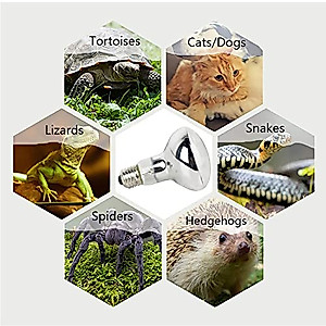 4-Pack 75W R80 Pet Heating Lamp Warm Yellow Light Basking Heat Spot Lamp 110V E26/E27 for Turtle Aquarium Aquatic Reptile Lizard, 4-Pack Heat Emitter Reptile Heat Lamp