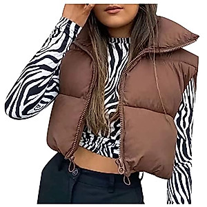 Womens Winter Coats With Hood, Women'S Puffer Vest Coat Tank Top Bomber Lightweight Stand Collar Zip Solid Quilted Jacket Women Coat Jackets Chamarras Colombia Jacket Coats (S, Brown)