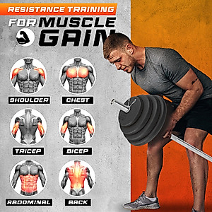 Yes4All 1-inch Cast Iron Weight Plates for Dumbbells – Standard Weight Disc Plates (10 lbs, Single)