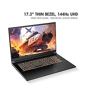 Sager 2023 NP8875D Gaming Laptop, 17.3 Inch UHD 144Hz 100% DCI-P3 G-Sync, Intel i9-13900HX, RTX 4060 8GB, 32GB RAM, 2TB Gen4 NVMe SSD, Win 11