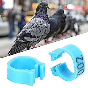 01 Bird Foot Clip, Easy to and Use Poultry Leg Rings and Light Weight Bird Leg Bands for Homing Pigeons for Outdoor(Blue)