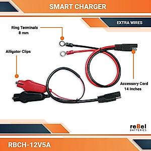reBel Batteries - 12V LiFePO4 Charger 5 Amp Intelligent Chip CC/CV Multistage Lithium Battery Charger Ring Terminals Plus Alligator Clips