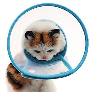 Pet Plastic Clear Cone Recovery E-Collar with Dots Design Soft Edge for Small Dogs & Cats (Small, Blue)