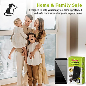 Ultra-Efficient Glue Mouse & Rat Traps -12 Pack Large Heavy Duty Glue Traps for Safe Home Pest Control. Pre-Baited, Non-Toxic Sticky Boards for Mice, Rats & More. Easy to Use