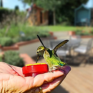 Hand Hummingbird Feeder, 4Pcs Mini Flower Handheld Hummingbird Feeder with 4Pcs Cleaning Brush, Window Humming Wild Bird Feeders for Outdoor Supplies