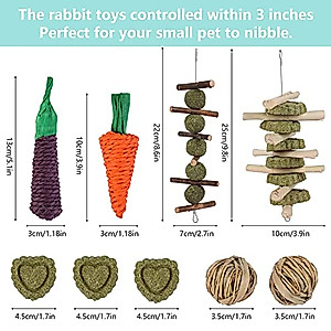 Cathpetic Perfect Rabbit Chew Toys - Guinea Pig Toys Natural Timothy Hay Chinchilla Toys, 100% Hand Made Rabbit Treats Apple and Wood Sweet Bamboo, Small Animal Chew Treat for Rodents Teeth Care