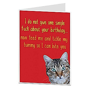 LimaLima Funny Birthday Card Cat Pet Theme Rude Offensive Perfect For Owner Lover Men & Women