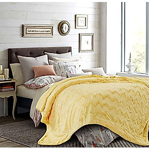 Chanasya Soft Wave Faux Fur Throw Blanket - Soft, Lightweight Reversible Sherpa & Minky Blanket - 50" x 65” - Yellow