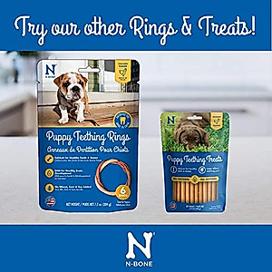 N-Bone Puppy Teething Ring Pumpkin Flavor 7.2 Oz/(6 Count)