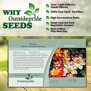 Outsidepride Dahlia Dandy Garden Cut Flower Seed Mix Great for Bouquets & Dried Floral Arrangements - 500 Seeds