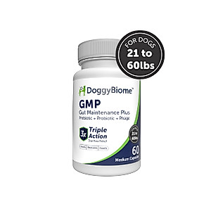 AnimalBiome Dog Probiotics - GMP Prebiotics and Probiotics - Reduce Diarrhea Flareups - for Dogs 21-40 lbs (60 Capsules) - DoggyBiome