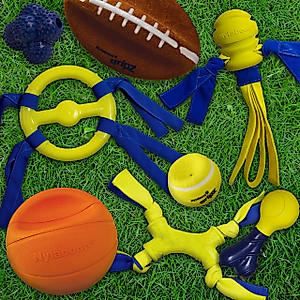 Nylabone Power Play Felt Football Gripz Fetch Toy, Squeaky Ball Chew Toy for Dogs, Large (1 Count)