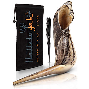 Shofar From Israel 16"-18": KOSHER ODORLESS Ram Horn Shofar | Smooth Mouthpiece for Easy Blowing | Include Velvet Bag, Clean Brush and Shofar Guide - Made In Israel By HalleluYAH