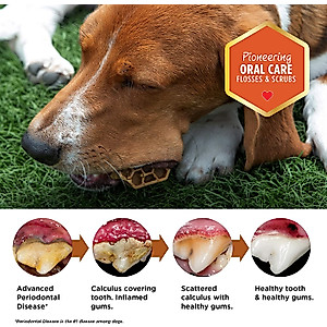 Yummy Combs Dog Dental Treat - Extra Small - Protein Formula - 12oz Carton