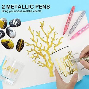 REONEY Acrylic Marker Pens, 12 Colors Quick-Dry Paint Pens (2-3 MM Medium Tip) for Rock Painting Wood Ceramics Glass Canvas DIY Craft Rock Painting Supplies