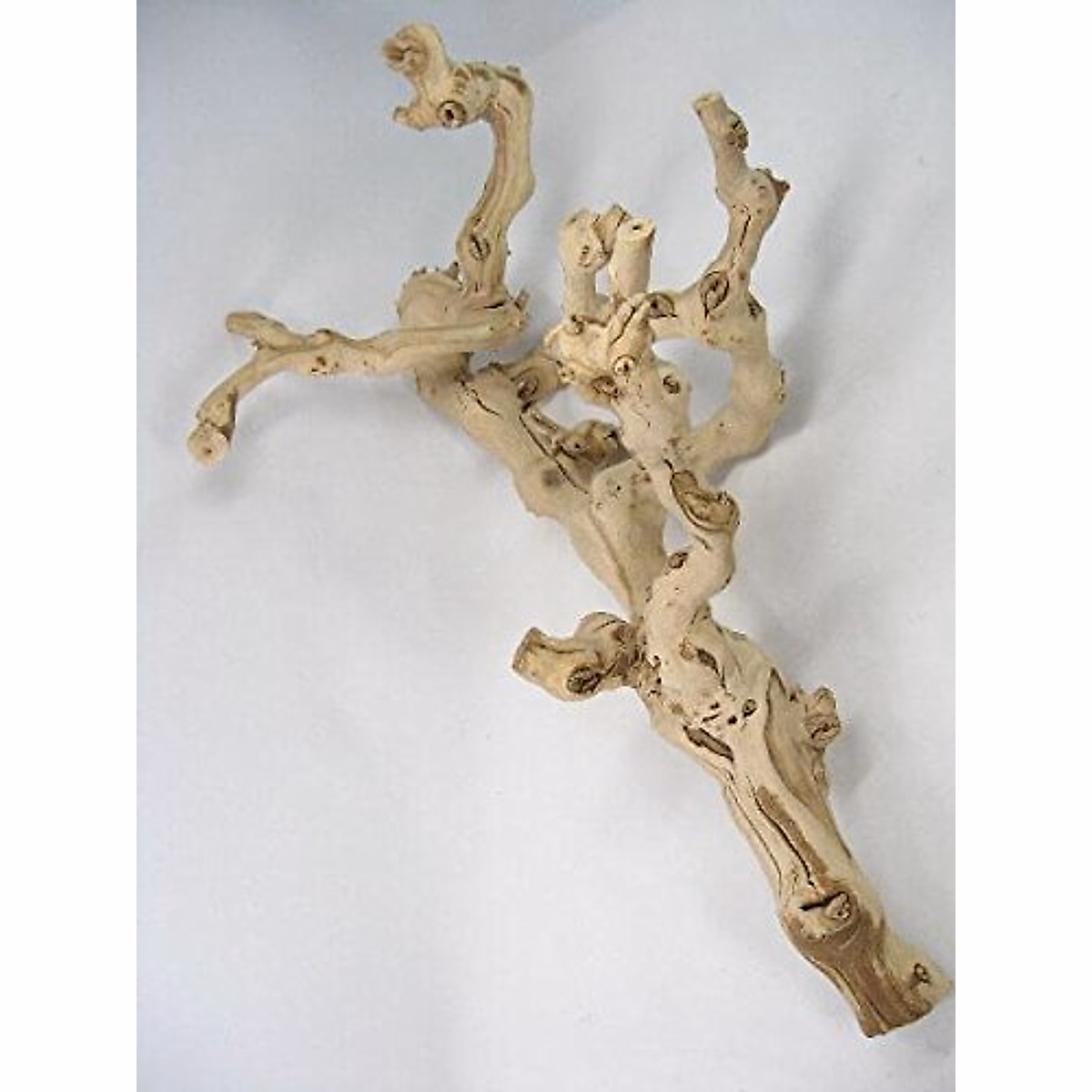 Richland Grapewood Branch 12" Sandblasted