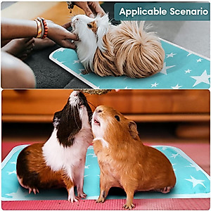 Reusable Pee Pads for Guinea Pigs Set of 6 - Washable Guinea Pig Cage Liners - Pet Mat for Small Animal Cage - Small Animal Bedding for Hamster Bunny Puppy Kitten