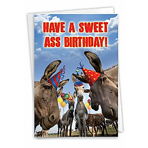 NobleWorks - 1 Happy Birthday Card with Funny Animals - Wildlife and Pet Humor, Fun Birthday Celebration Notecard - Sweet A-s C7191BDG