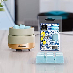 Coco-Soy Organic Wax Melts " Grape Fruit & Ginger " EcoAroma Natural Flowers Fragrance Oils. Great for Aromatherapy & Home Scent Botanical Collection , 1-Pack of 6 Wax- Cubes