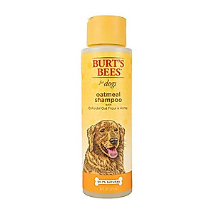 Burt's Bees for Dogs Natural Oatmeal Dog Shampoo | With Colloidal Oat Flour & Honey | Cruelty Free, Sulfate & Paraben Free, pH Balanced for Dogs - Made in USA, 16 Oz - Pack of 6