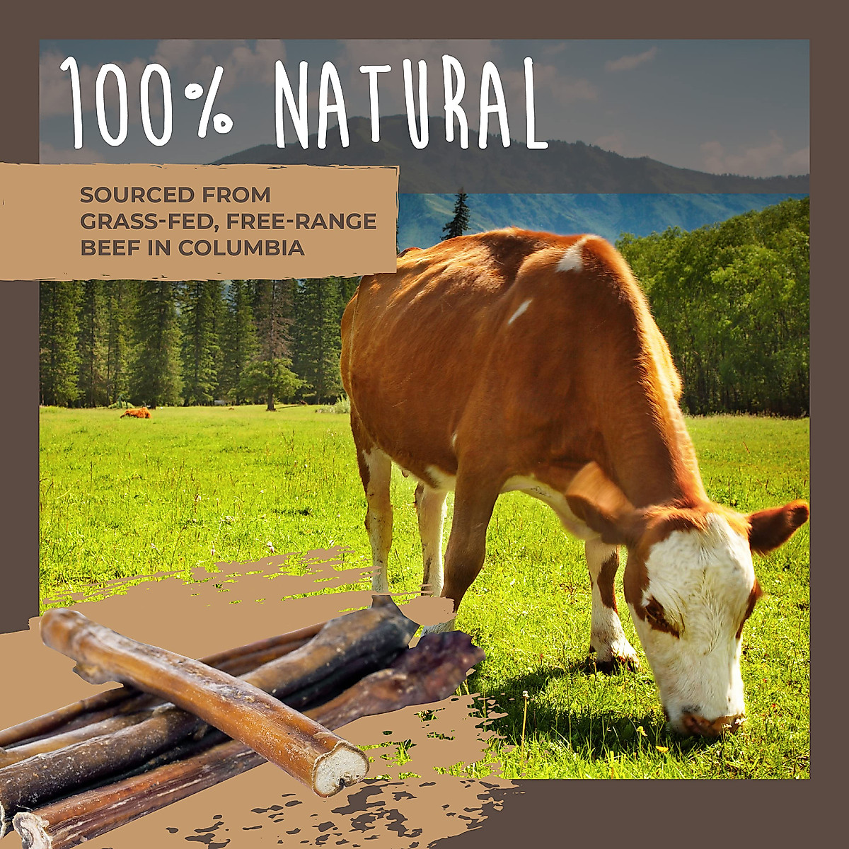 Mighty Paw Naturals Bully Sticks - All-Natural Protein-Rich Dog Chews from Grass-Fed Beef. Single-Ingredient Pet Treat for Dental Health. Keeps Chewers Busy - Bully Stick - Dental Chew Dog - Dog Stick