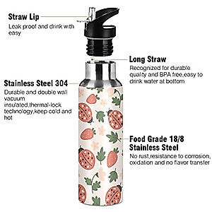 xigua Ladybug Water Bottle Double Walled Stainless Steel Leak Proof Thermo Flask for Sports Gym Cycling Outdoor,20 oz.