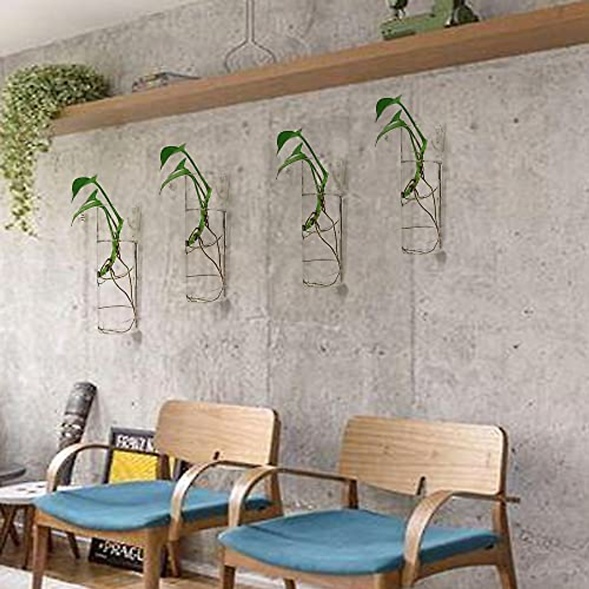 Bunhut Wall Planters for Indoor Plants,Wall Hanging Terrarium Planters,Glass Wall Planters for Floral Arrangement,Hanging Plant Holder, Wall Vase,Wall Mounted Planters (4 Glass Wall Planter)