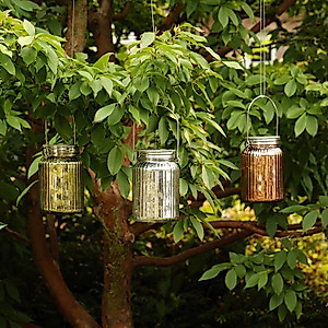 Inside Outside Garden Set of 3 Glass Jars with Mini LED Lights, Gold