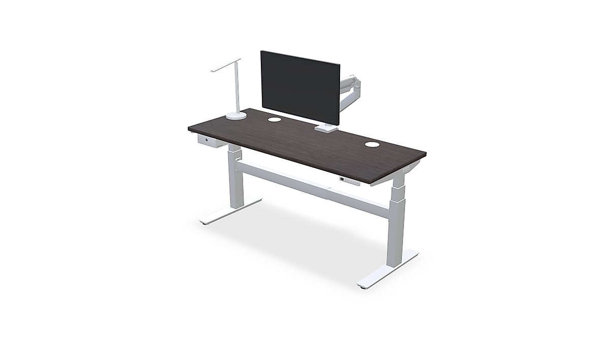 Uplift Desk Ash Gray Standing Desk with Advanced Features
