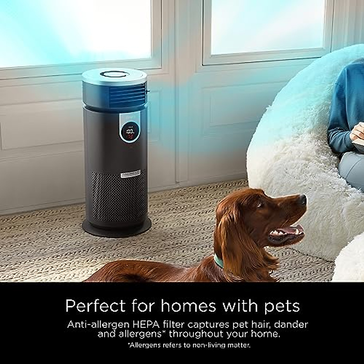 Shark HC452 3-in-1 Clean Sense Air Purifier, Heater & Fan, HEPA Filter, 500 Sq Ft, Oscillating, Small Room, Bedroom, Office, Captures 99.98% of Particles for Clean Air, Dust, Smoke & Allergens, Grey
