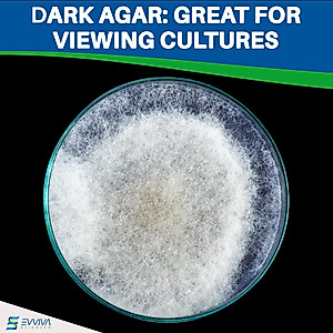 ES EVVIVA SCIENCES Prepoured Black Potato Dextrose Agar Plates – Includes Both Black Dye & Charcoal - Enhanced Culture Visualization - Excellent Growth Medium - Great for Mushrooms & Science Projects