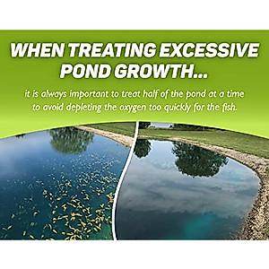 Tsunami DQ Aquatic Herbicide- Quart - 37.3 Percent Diquat Dibromide – Concentrated Aquatic Weed Killer for Lakes and Ponds - Duckweed, Watermeal, Curly Leaf, Pondweed & Many More