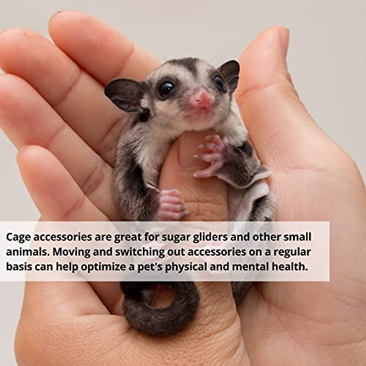 5 Pcs Sugar Glider Supplies Cage Accessories Hammock Set Hanging Cage Bed Hideout for Small Animal Pets Hamster Rat Guinea Pig Squirrel Gerbils