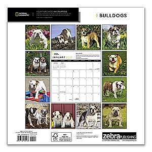 National Geographic Bulldogs 2021 Wall Calendar